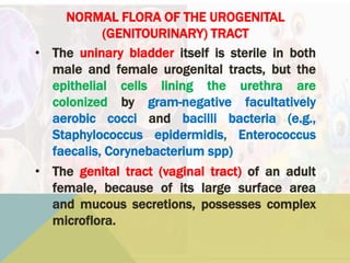 normal floura of human body skin, digective and respiratory system | PPTX