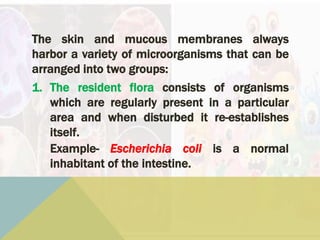 normal floura of human body skin, digective and respiratory system | PPTX