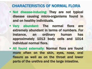 normal floura of human body skin, digective and respiratory system | PPTX