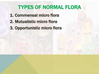 normal floura of human body skin, digective and respiratory system | PPTX