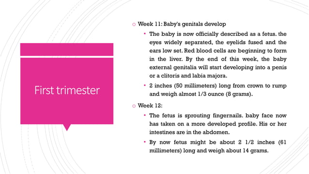 Normal foetal development and assessment of growth final | PDF ...