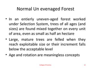 Normal forest – growing stock and increment | PPT