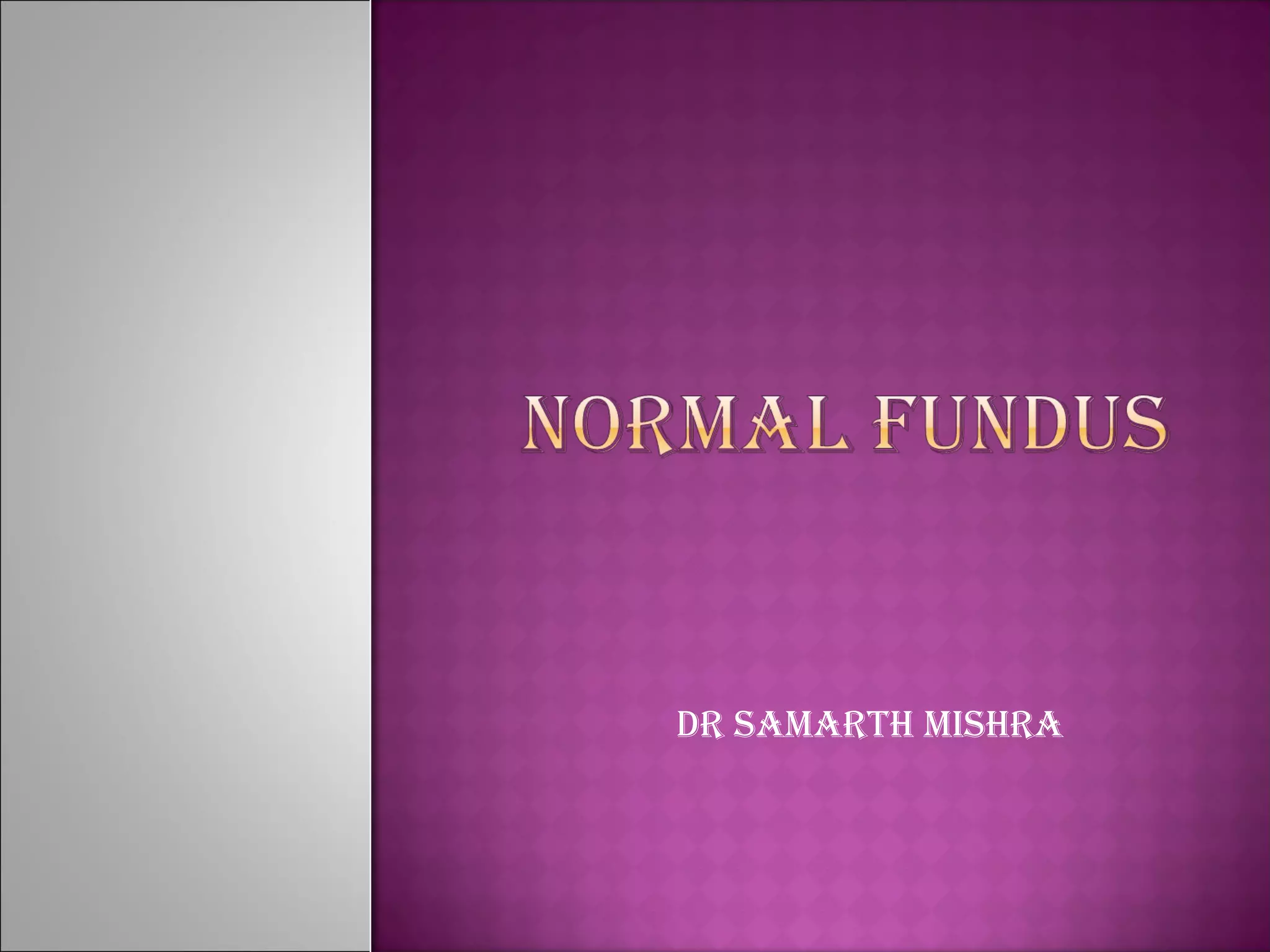 Normal fundus | PPT