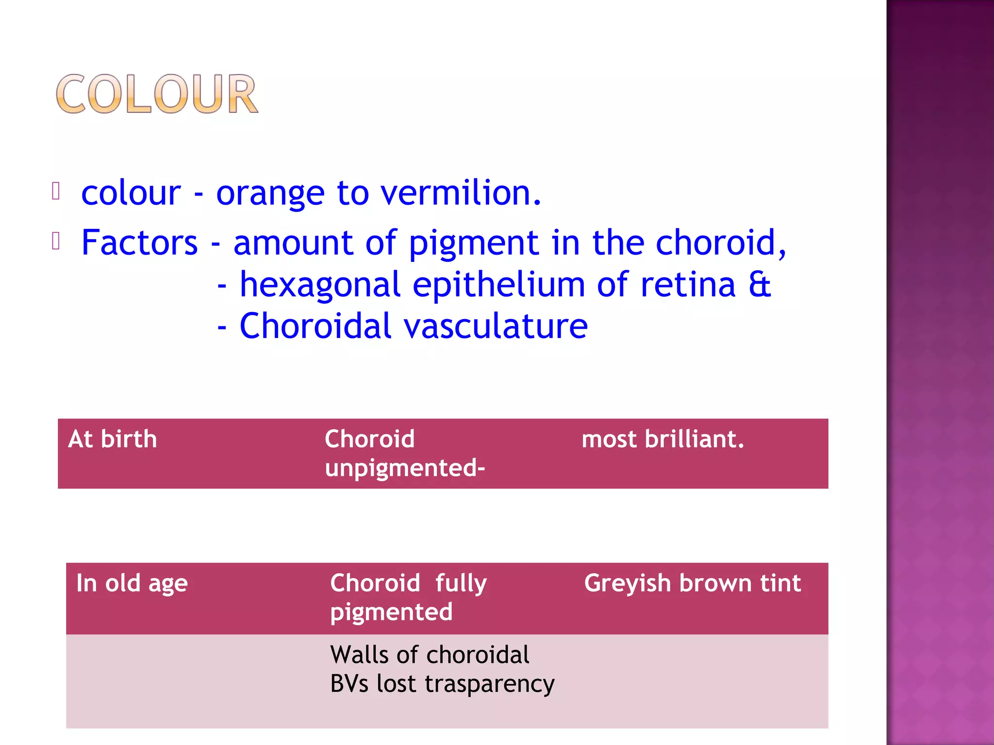 Normal fundus | PPT | Eye and Vision Conditions | Diseases and Conditions