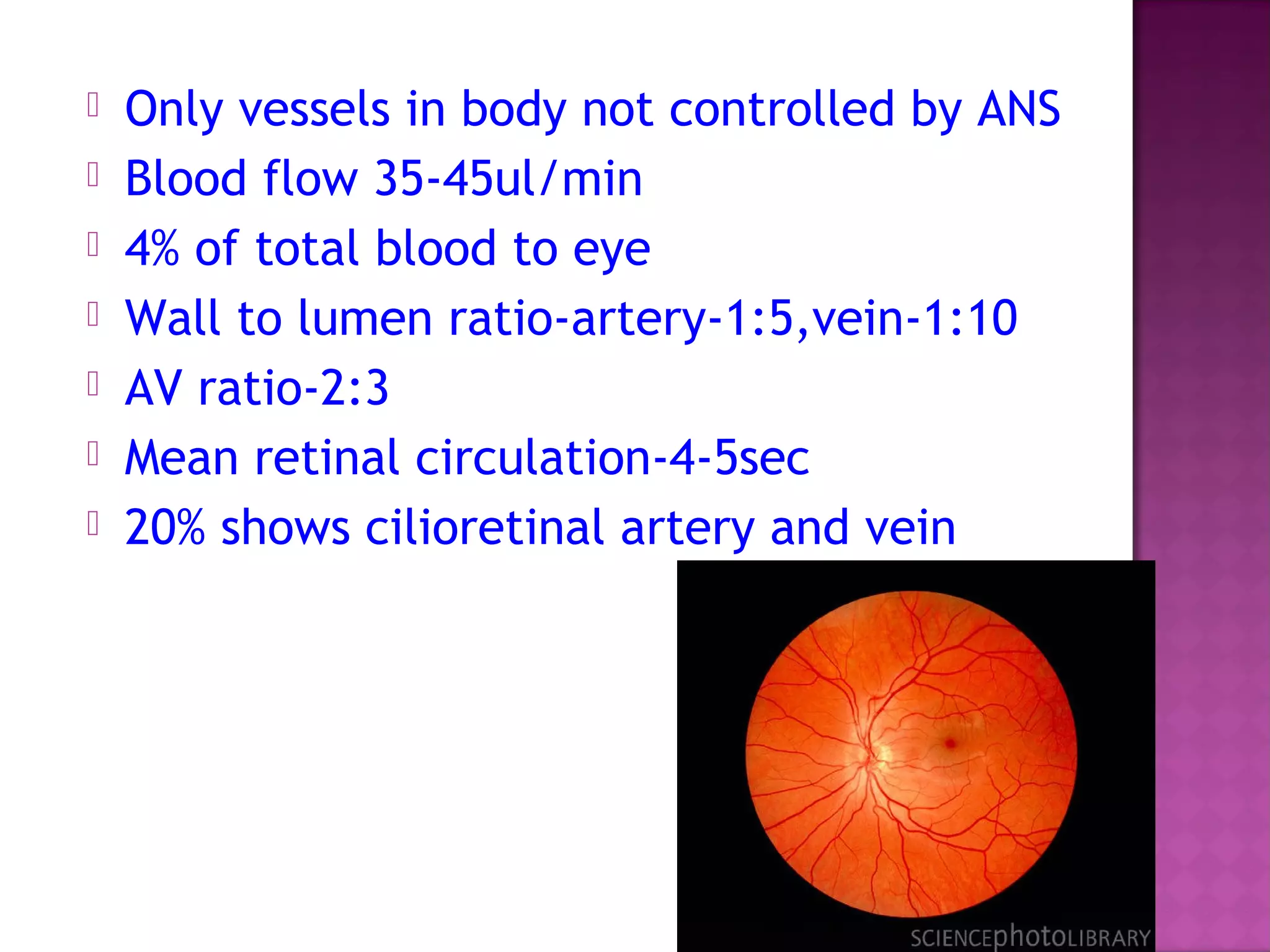 Normal fundus | PPT