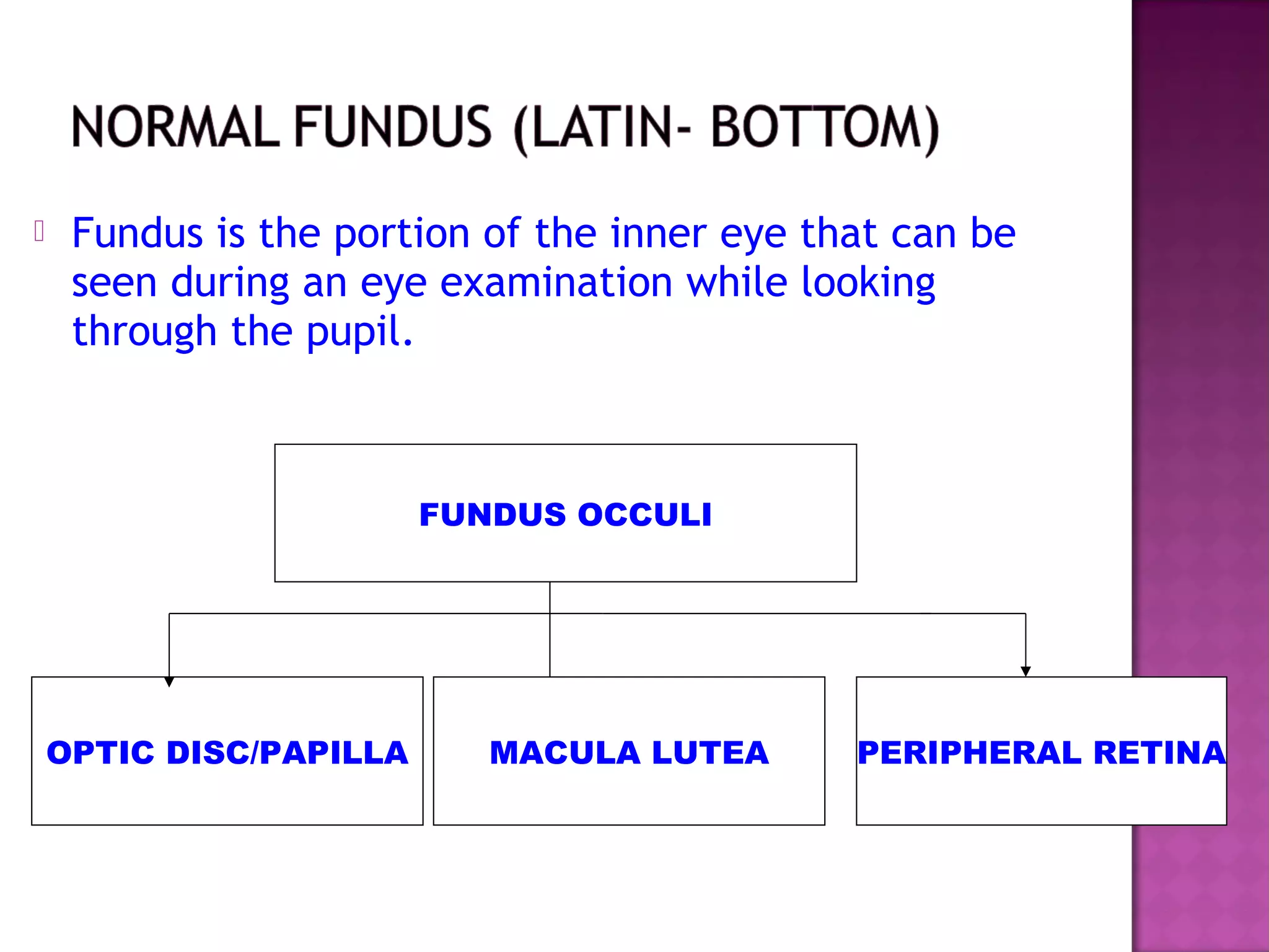 Normal fundus | PPT