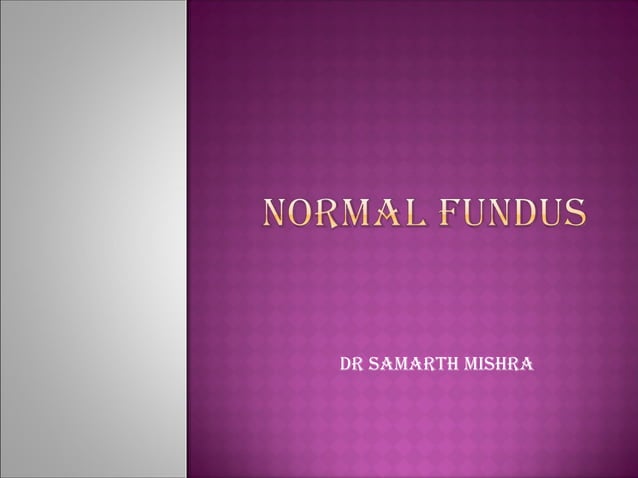 Normal fundus | PPT | Eye and Vision Conditions | Diseases and Conditions