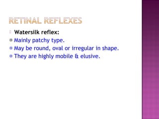 Normal fundus | PPT