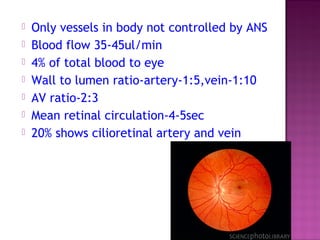 Normal fundus | PPT