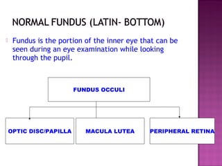 Normal fundus | PPT