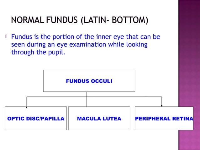 Normal fundus | PPT | Eye and Vision Conditions | Diseases and Conditions