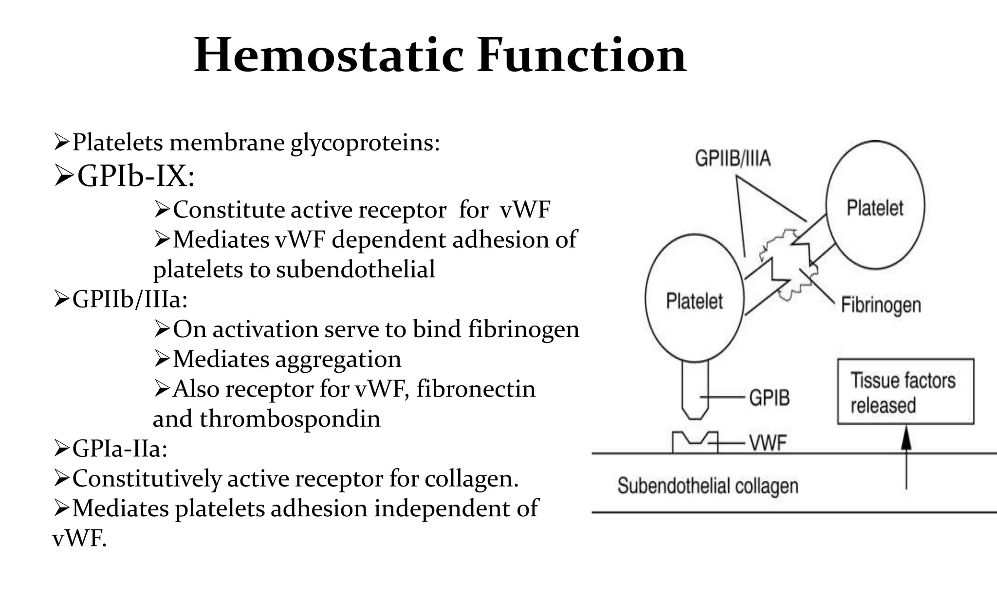 Normal haemostasis | PPTX