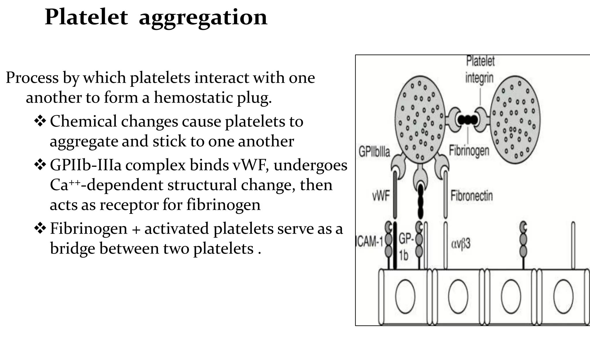 Normal haemostasis | PPTX