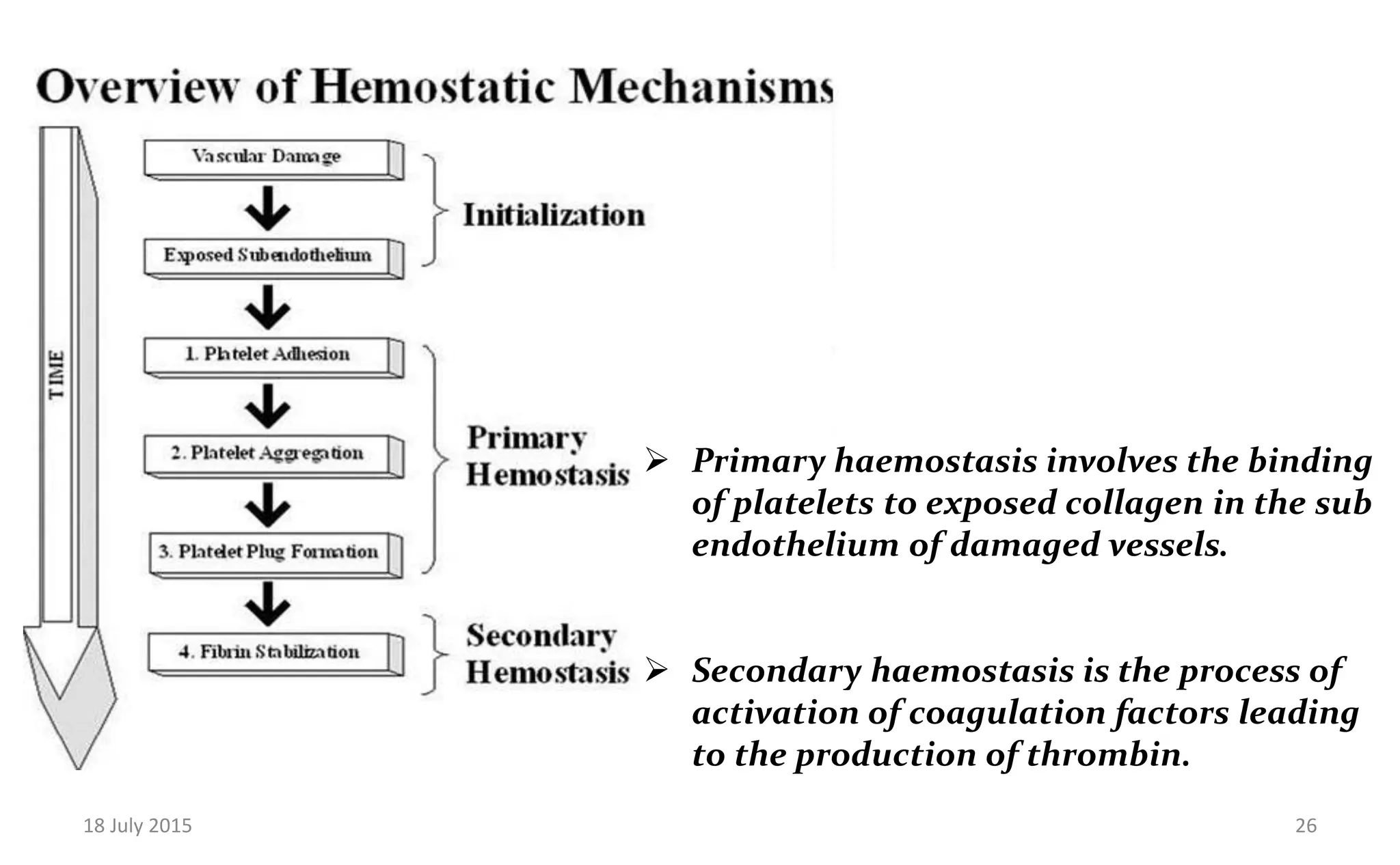 Normal haemostasis | PPTX