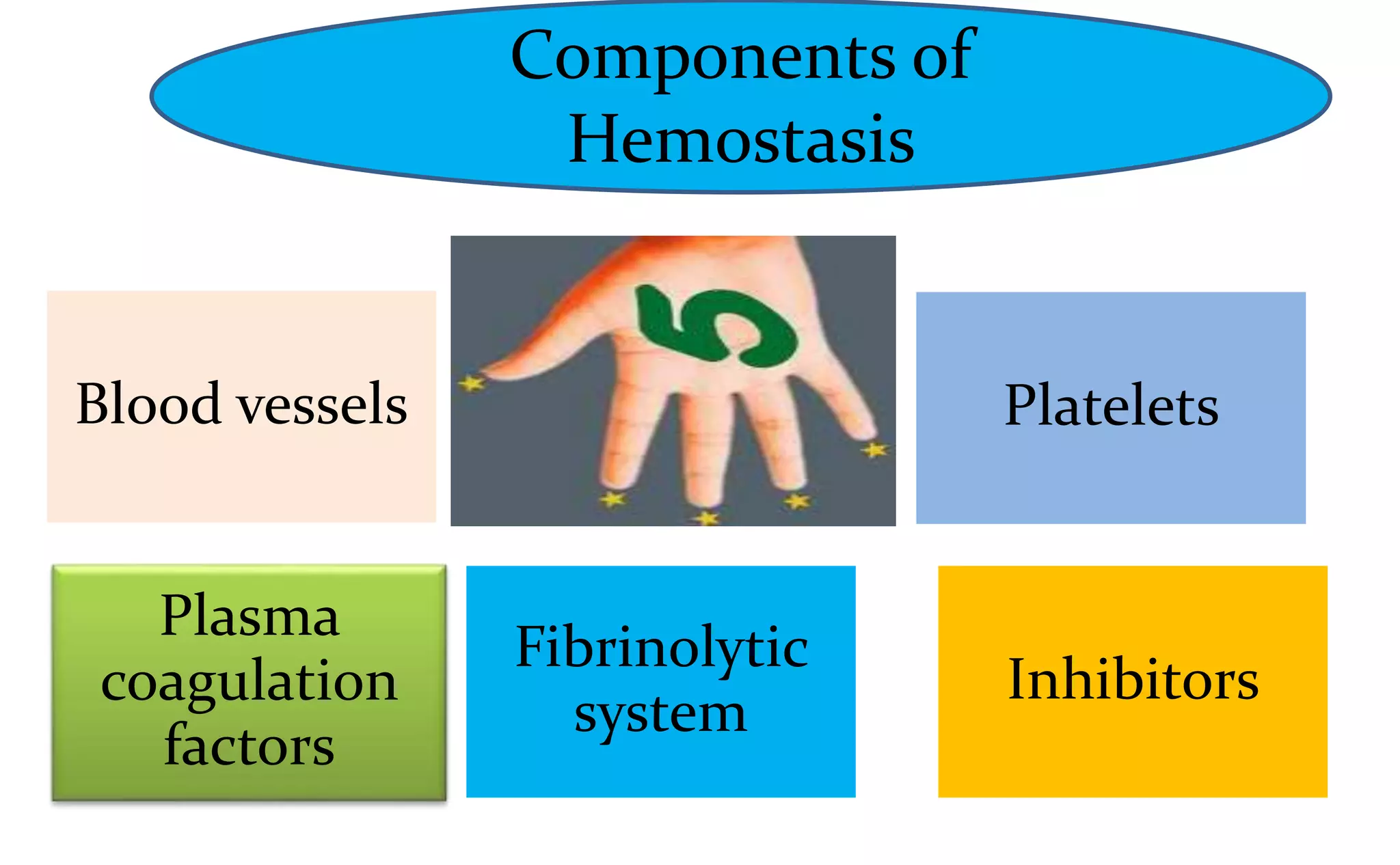 Normal haemostasis | PPTX