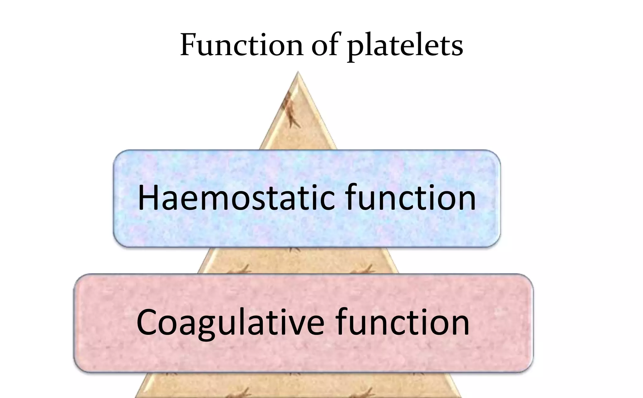 Normal haemostasis | PPTX
