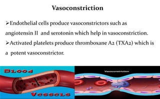 Normal haemostasis | PPTX