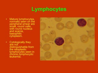 Normal Hematopoiesis | PPT