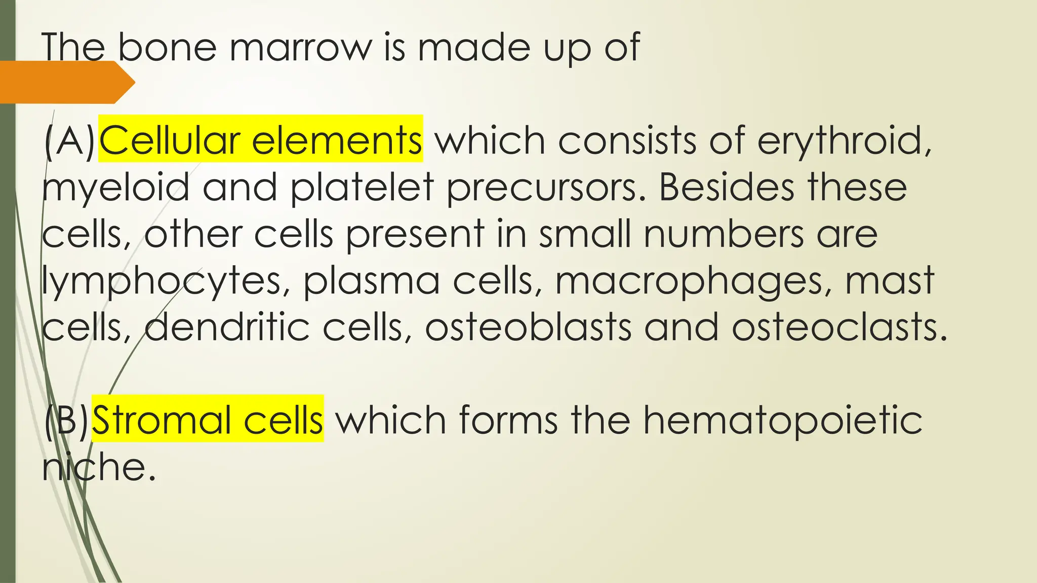 NORMAL HEMATOPOIESIS AND IDENTIFICATION OF VARIOUS PRECURSORS 2.0.pptx