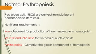 NORMAL HEMATOPOIESIS AND IDENTIFICATION OF VARIOUS PRECURSORS 2.0.pptx