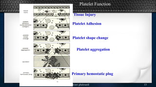 hemostasis( coagulation) | PDF