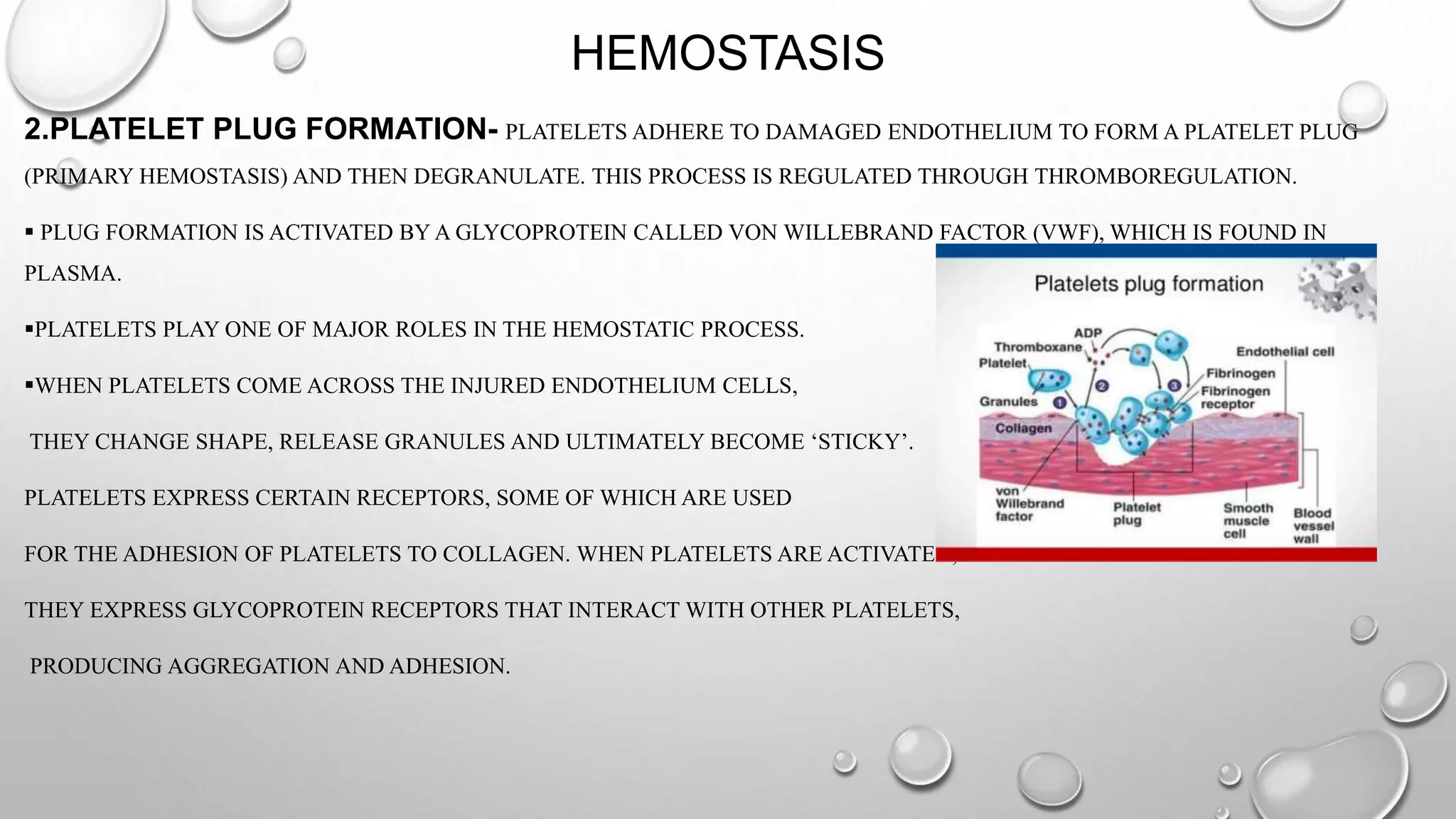 Normal hemostasis | PPTX