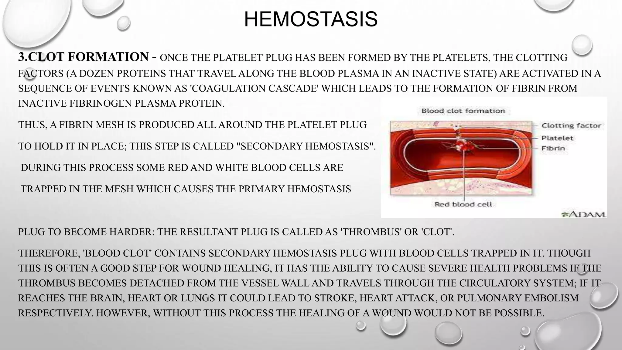 Normal hemostasis | PPTX