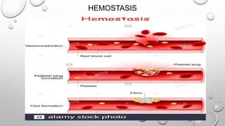Normal hemostasis | PPTX