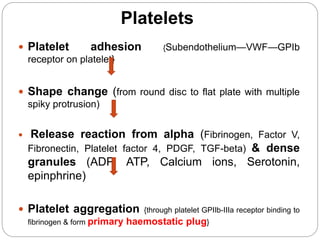 Normal hemostasis.pptx