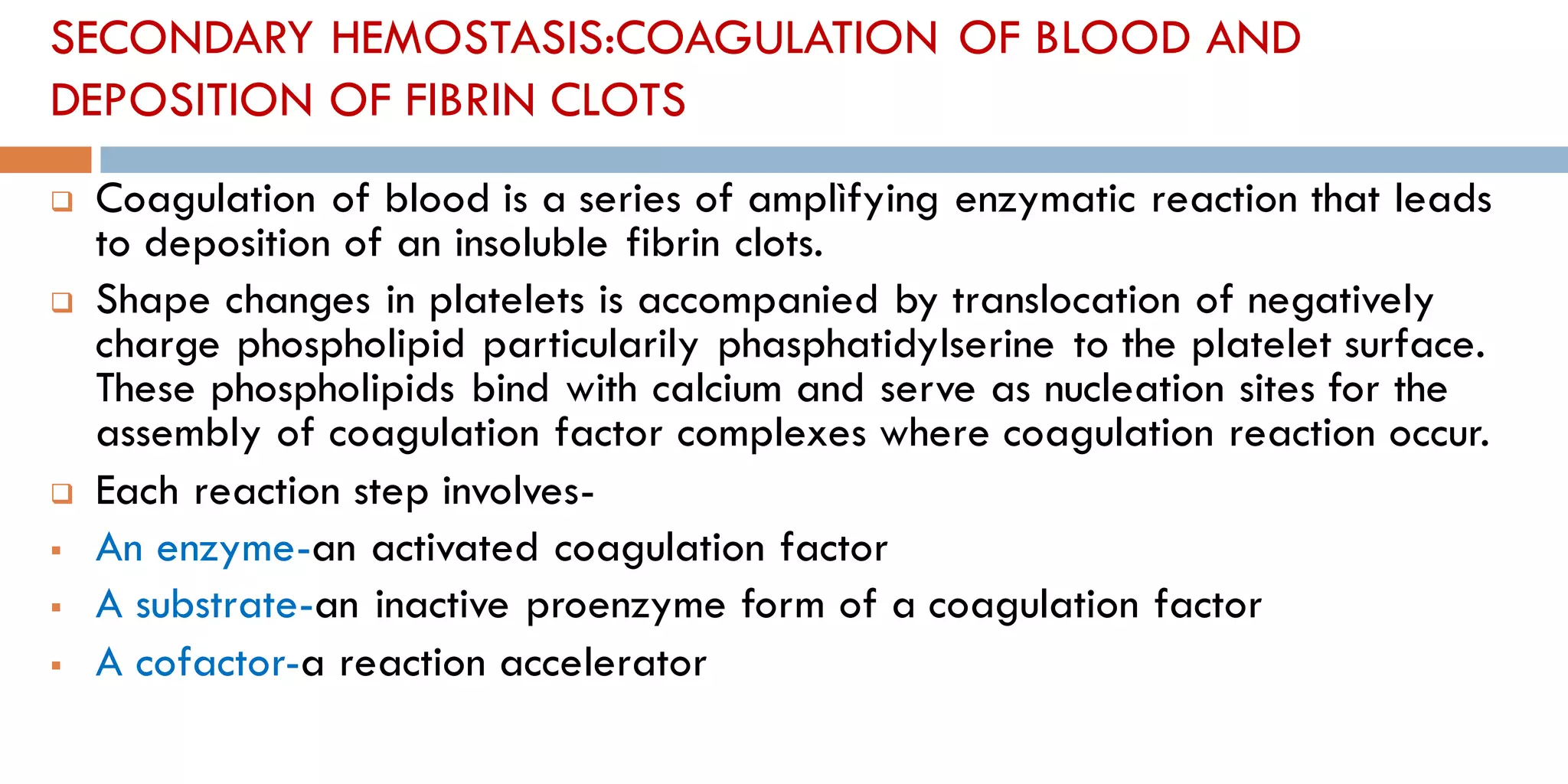 NORMAL HEMOSTASIS_063910-1.pdf | Blood Disorders | Diseases and Conditions