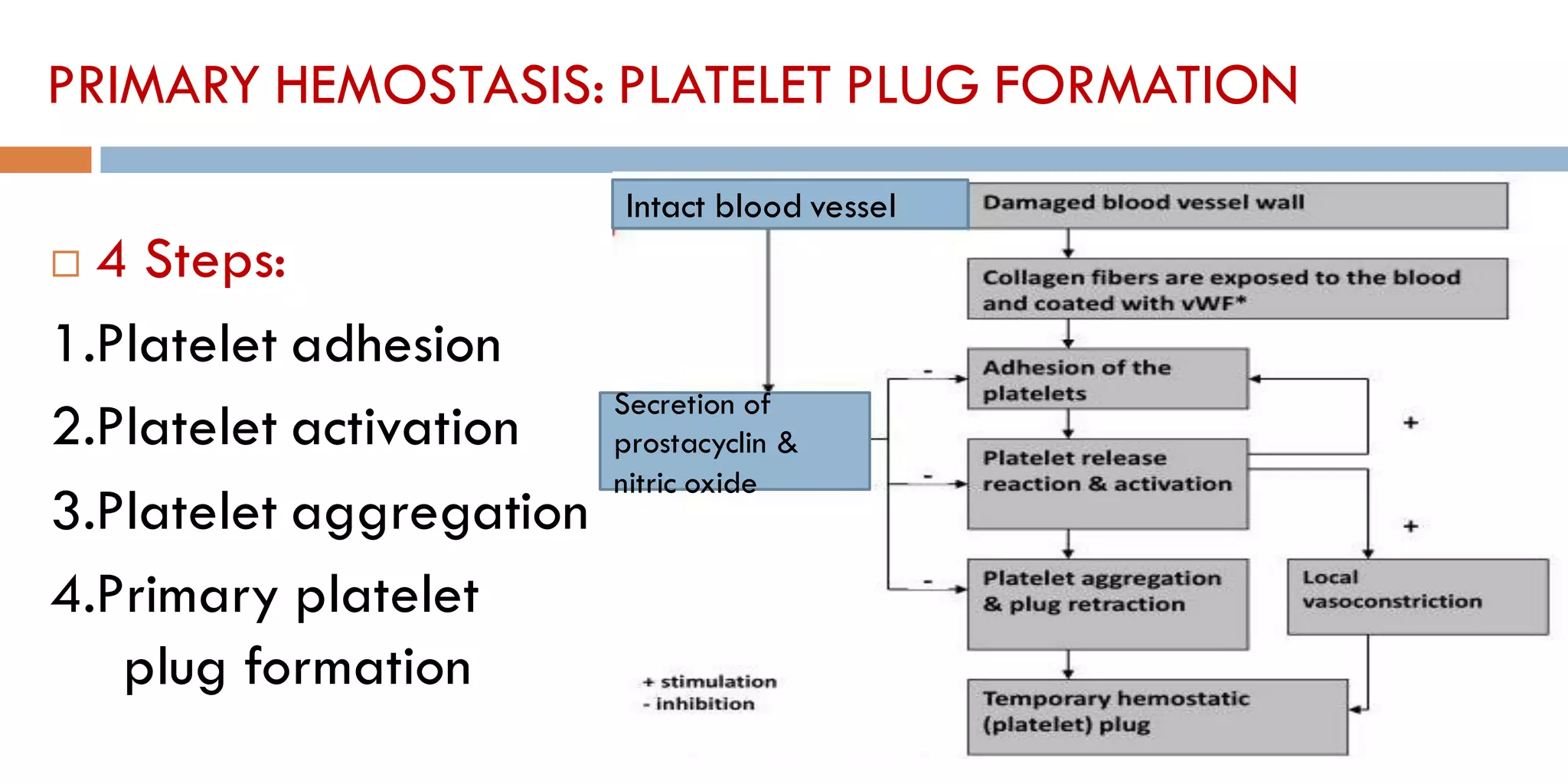 NORMAL HEMOSTASIS_063910-1.pdf