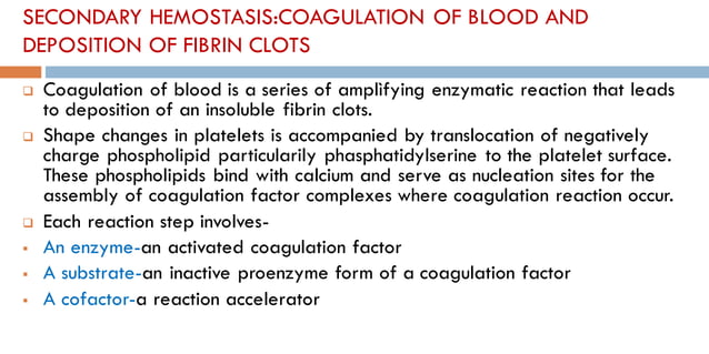 NORMAL HEMOSTASIS_063910-1.pdf