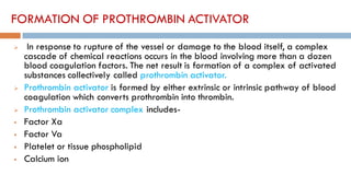 NORMAL HEMOSTASIS_063910-1.pdf | Blood Disorders | Diseases and Conditions