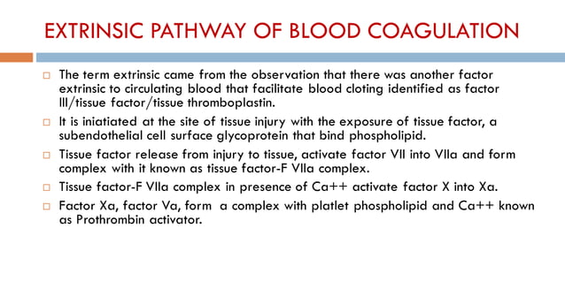 NORMAL HEMOSTASIS_063910-1.pdf