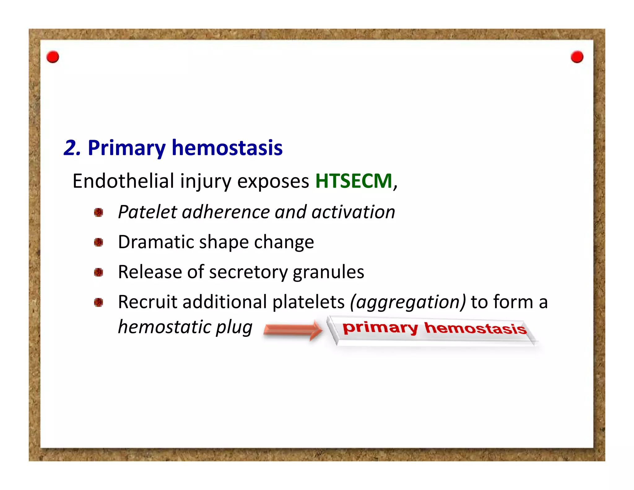 Normal hemostasis and coagulation | PDF