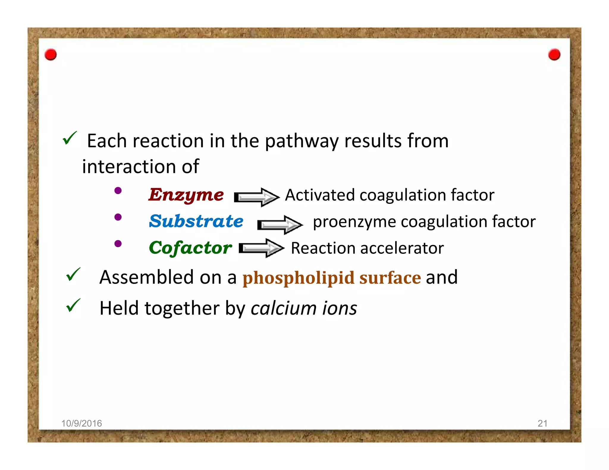 Normal hemostasis and coagulation | PDF