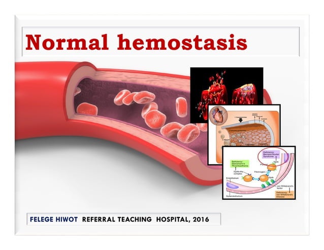 Normal hemostasis and coagulation | PDF