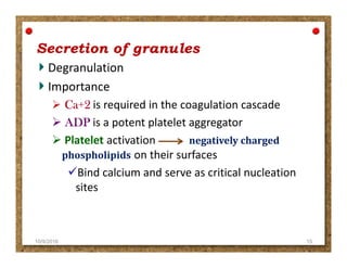 Normal hemostasis and coagulation | PDF