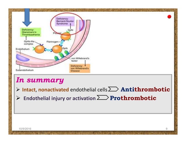 Normal hemostasis and coagulation | PDF