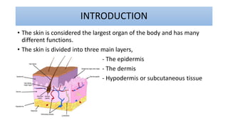 Normal histology of skin with pathological skin conditions.pptx