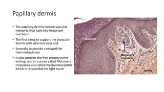 Normal histology of skin with pathological skin conditions.pptx