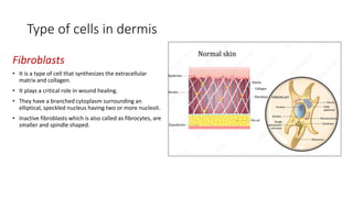 Normal histology of skin with pathological skin conditions.pptx