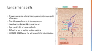Normal histology of skin with pathological skin conditions.pptx