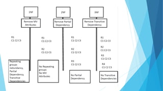 Normalization | PDF | Databases | Computer Software and Applications