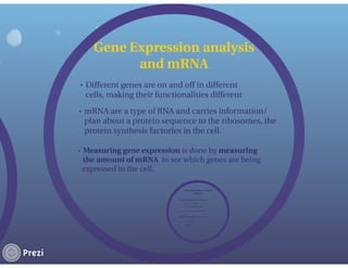 Normalization of-rna-seq-gene-expression-data | PPT