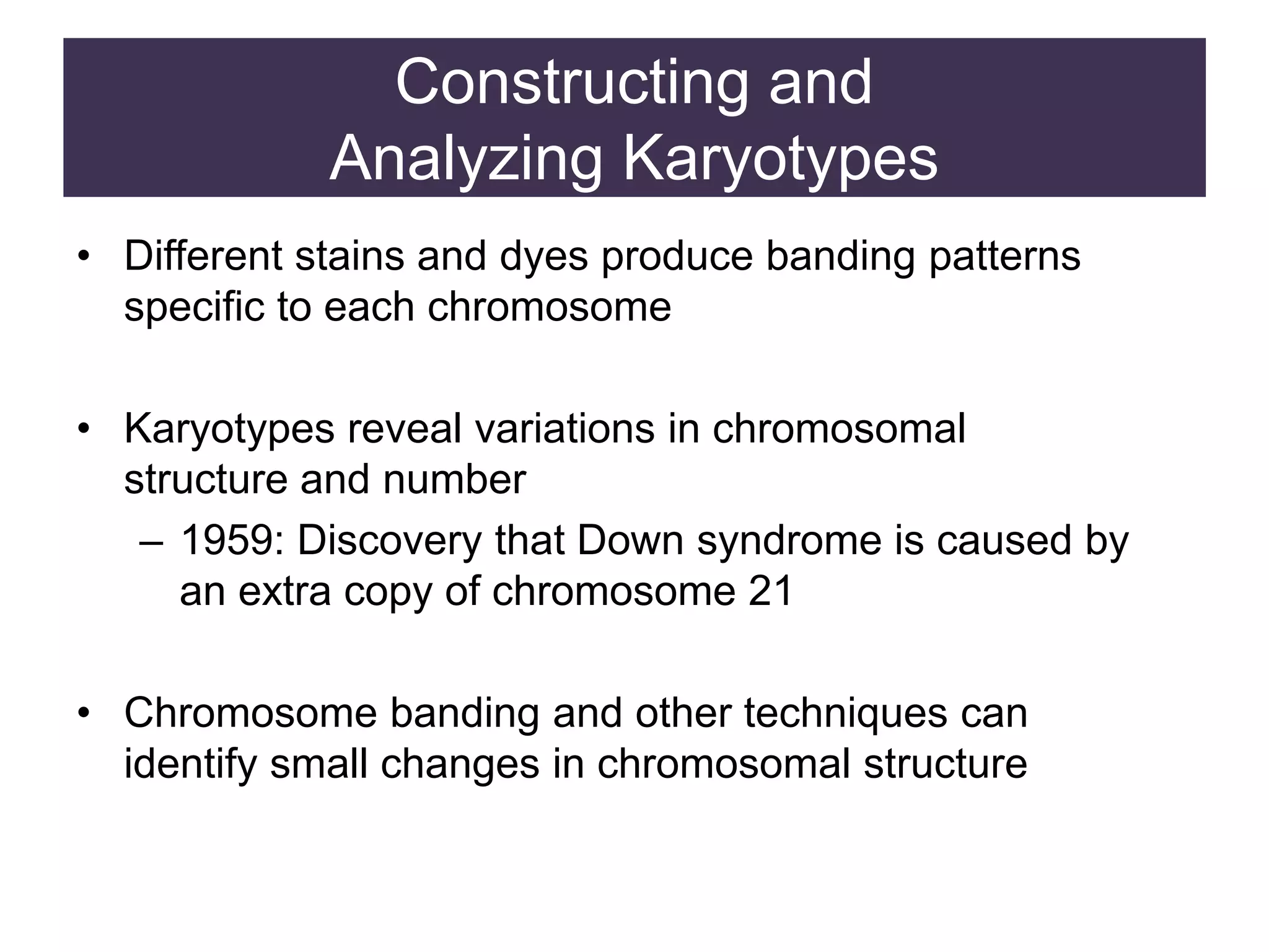 Normal karyotype and cytogenetics disorders | PPTX