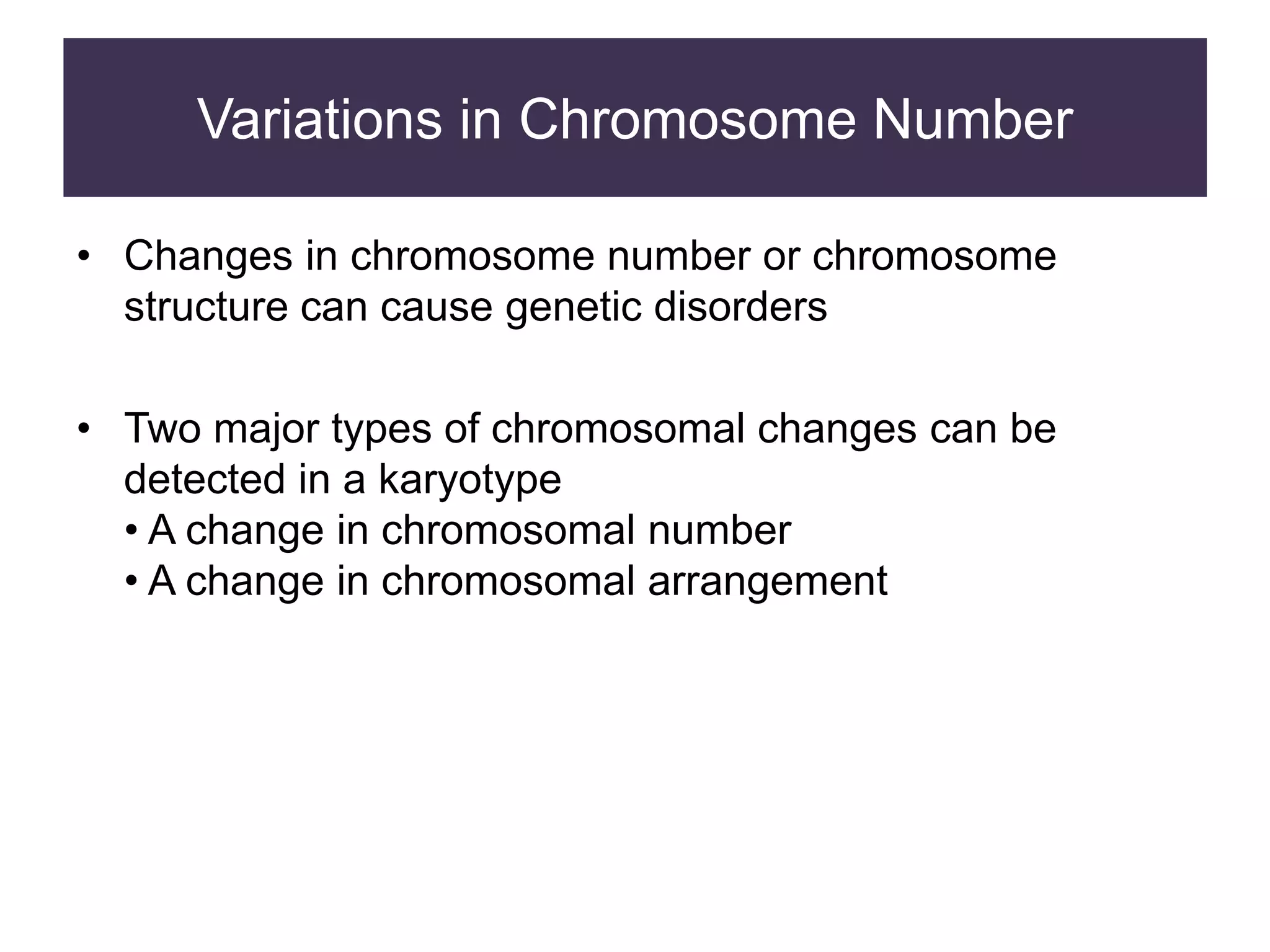 Normal karyotype and cytogenetics disorders | PPTX