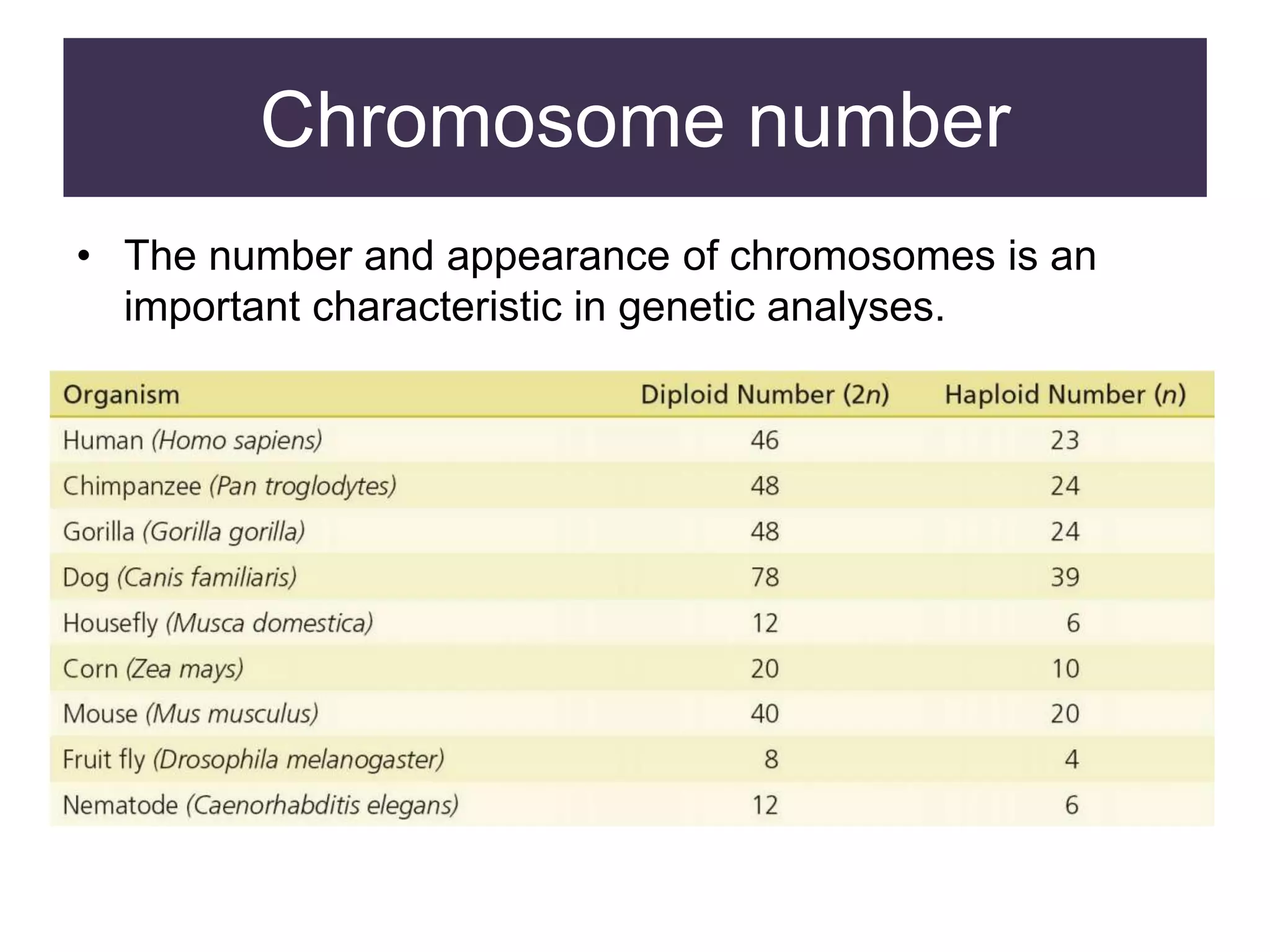 Normal karyotype and cytogenetics disorders | PPTX