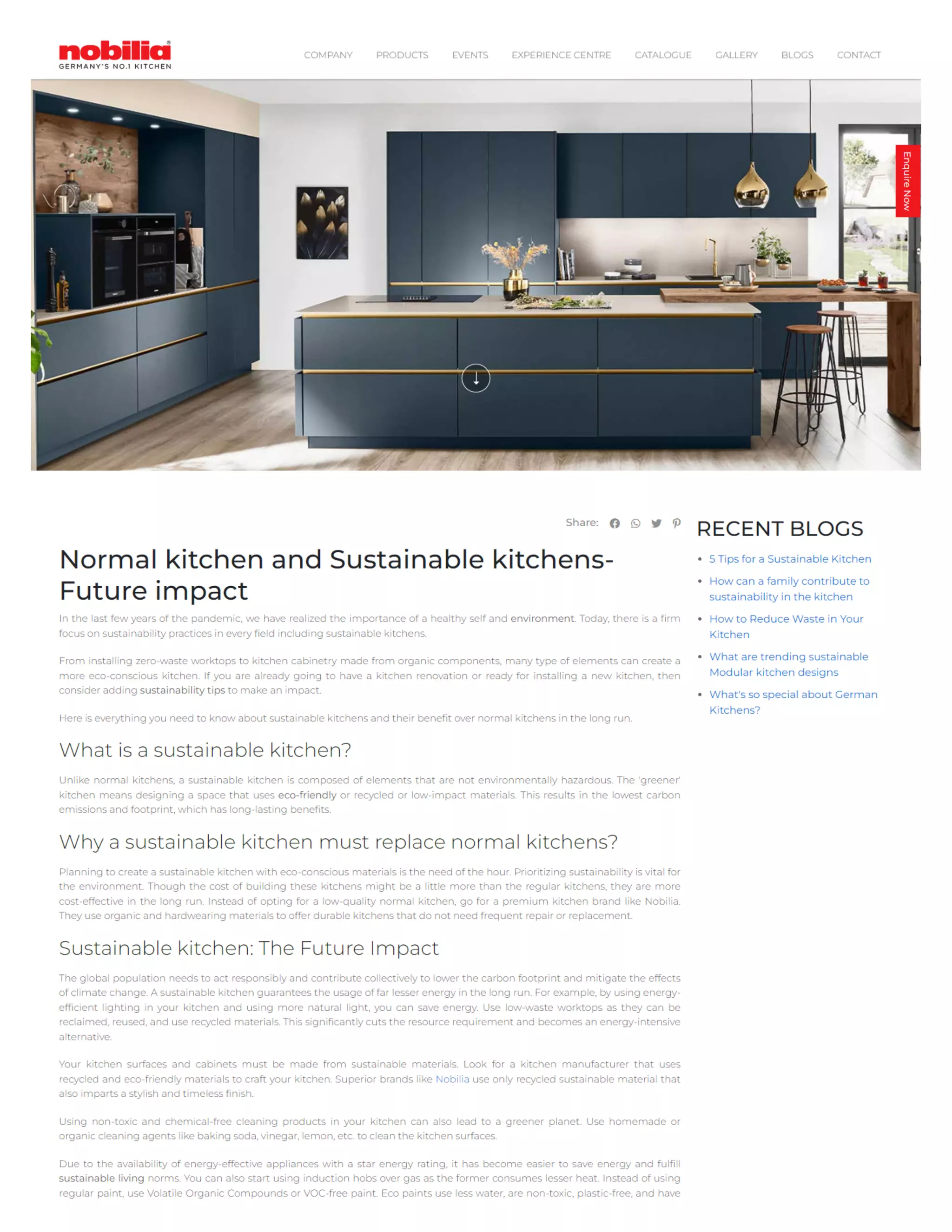 Normal kitchen and Sustainable kitchens-Future impact | PDF