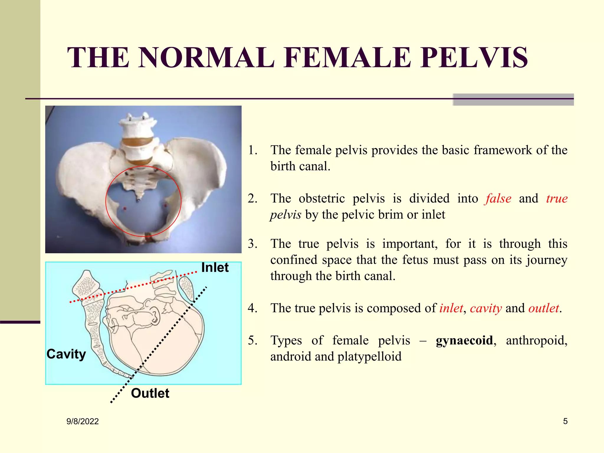 normal laboor & delivery.pptxi | PPTX